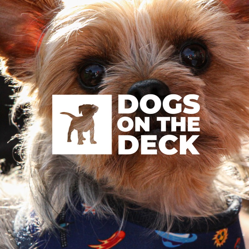 Dogs on the Deck - Buck Hill